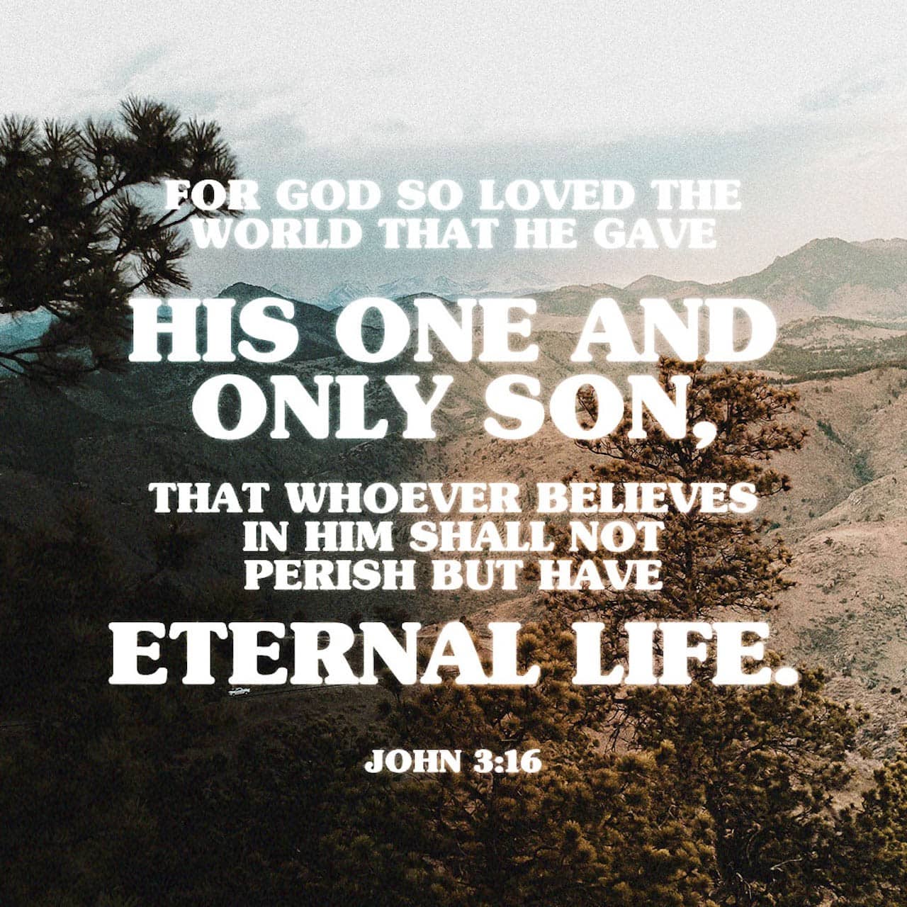 THE MESSAGE OF CHRIST’S SALVATION - Open Heaven Reflection